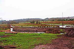 Wilden Marsh Facts for Kids