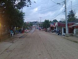 Manatí, Atlántico Facts for Kids