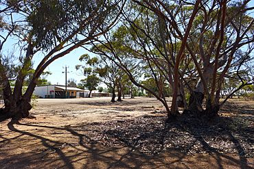 Beacon, Western Australia for Kids