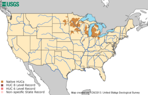 Pugnose shiner Facts for Kids