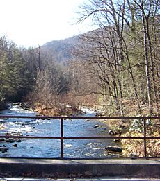 South Toe River Facts for Kids