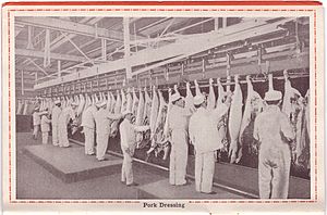 Meat-packing industry Facts for Kids
