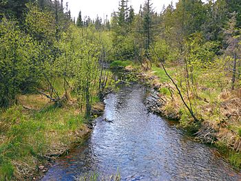 Devil Track River Facts for Kids