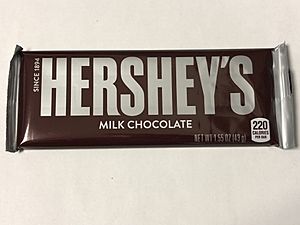 Milton Hersheys First Chocolate Bar