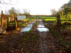 Acaster South Ings Facts for Kids
