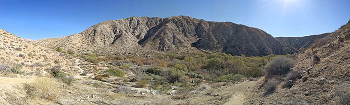 Big Morongo Canyon Preserve Facts for Kids