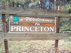 Princeton, British Columbia Facts for Kids