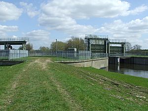 River Little Ouse Facts for Kids