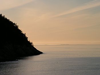 Estuary of Saint Lawrence Facts for Kids