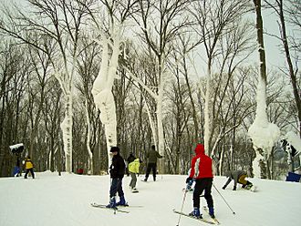 Perfect North Slopes Facts for Kids