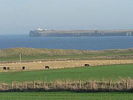 Sinclairs Bay Facts for Kids