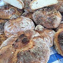 Galician bread Facts for Kids