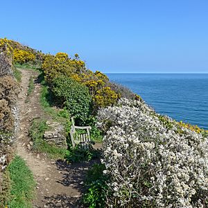 Mawnan Facts for Kids