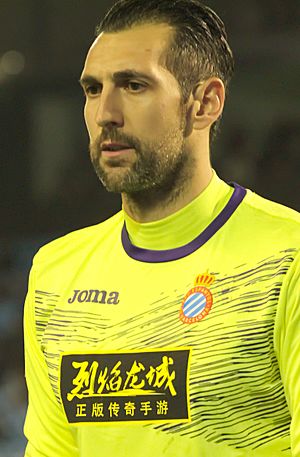 Diego López (Spanish footballer, born 1981) Facts for Kids