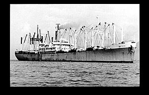 Long Range Shipbuilding Program Facts for Kids