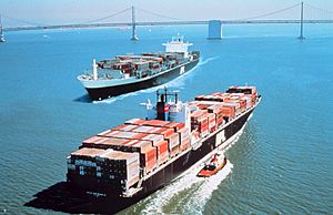 Container ship Facts for Kids