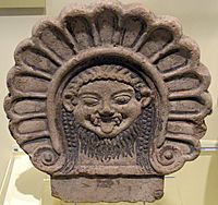 Medusa Facts for Kids