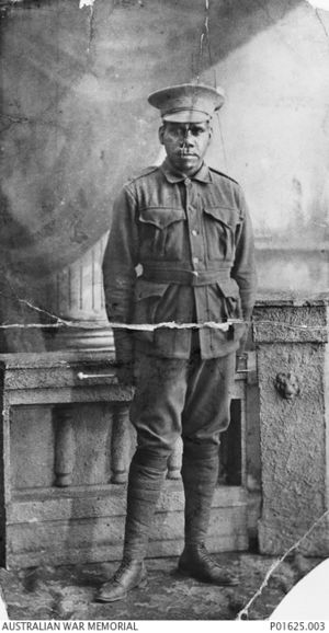 William Punch Facts for Kids