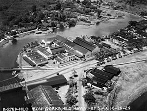 Hilo, Hawaii Facts for Kids