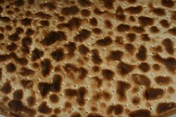 Torta Facts for Kids