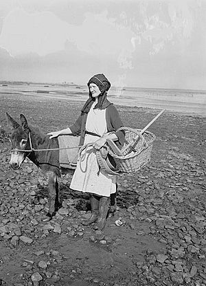 Penclawdd Facts for Kids