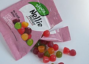 Toms International Facts for Kids