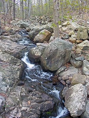 Breakneck Brook Facts for Kids