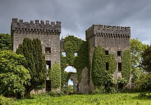 Daly Castle Facts for Kids
