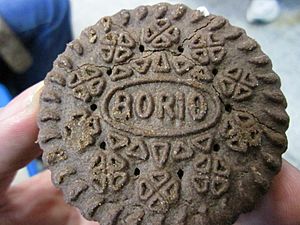 Borio Facts for Kids