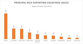Rice production in China Facts for Kids