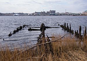 Bold Point Facts for Kids