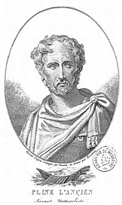 Pliny the Elder Facts for Kids