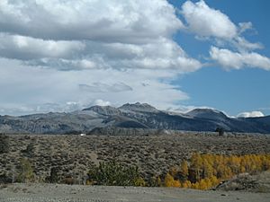 Mono–Inyo Craters Facts for Kids