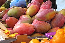 Mango Facts for Kids