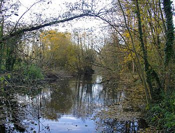 River Ash, Surrey Facts for Kids