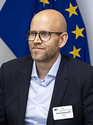 Daniel Ek Facts for Kids