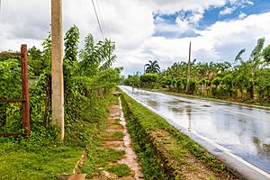 Arroyo Barril Facts for Kids