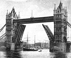 Shackleton–Rowett Expedition Facts for Kids