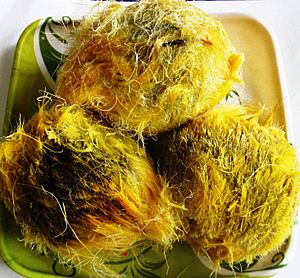 Doub palm Facts for Kids