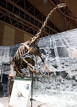 Therizinosaur Facts for Kids