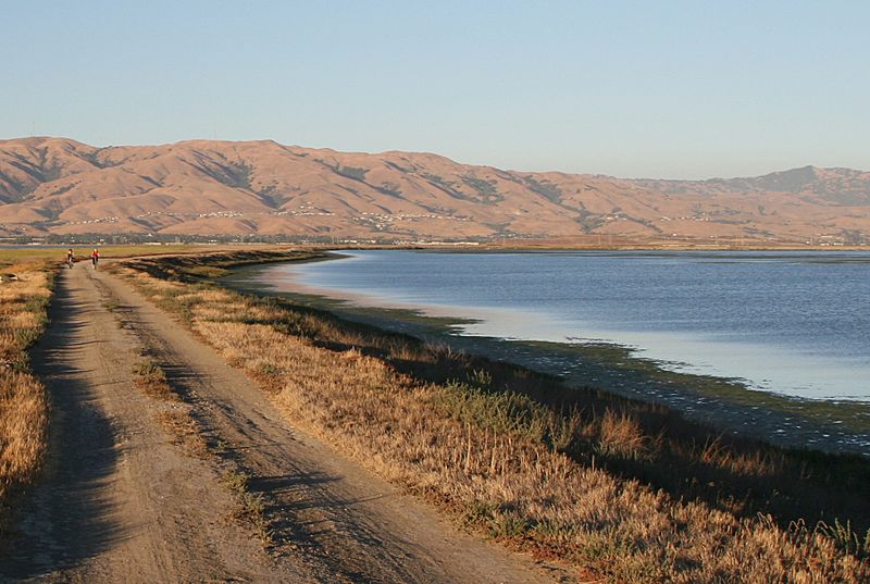 Image: Alviso, San Jose 1 (cropped)