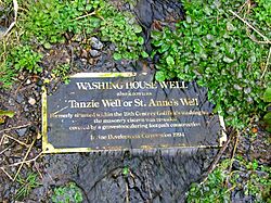 Tanzie Well Facts for Kids