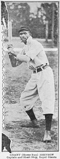 Home Run Johnson Facts for Kids