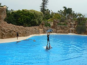 Loro Parque Facts for Kids