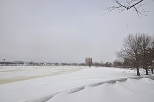 Magazine Beach Facts for Kids