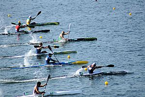 Canoe sprint Facts for Kids