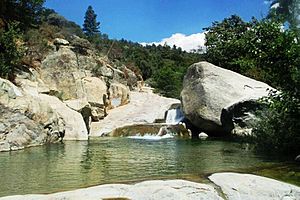 Tule River Facts for Kids