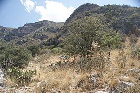 Serranía de Zapalinamé Facts for Kids