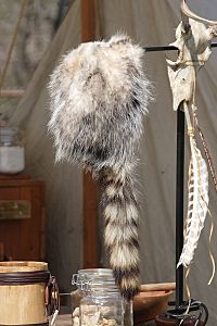 Coonskin cap Facts for Kids