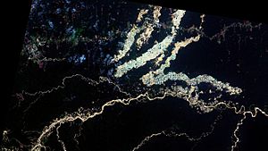 Deforestation of the Amazon rainforest Facts for Kids